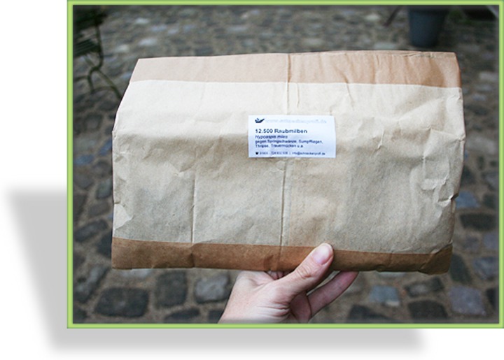 Raubmilben gegen Blutmilben Vogelmilben